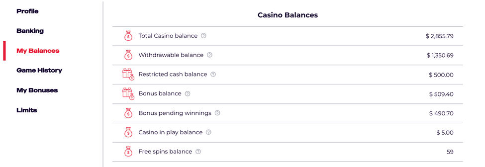 What do my Casino Balances mean?